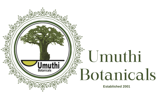 Cucumber Health Benefits – umuthi.co.za