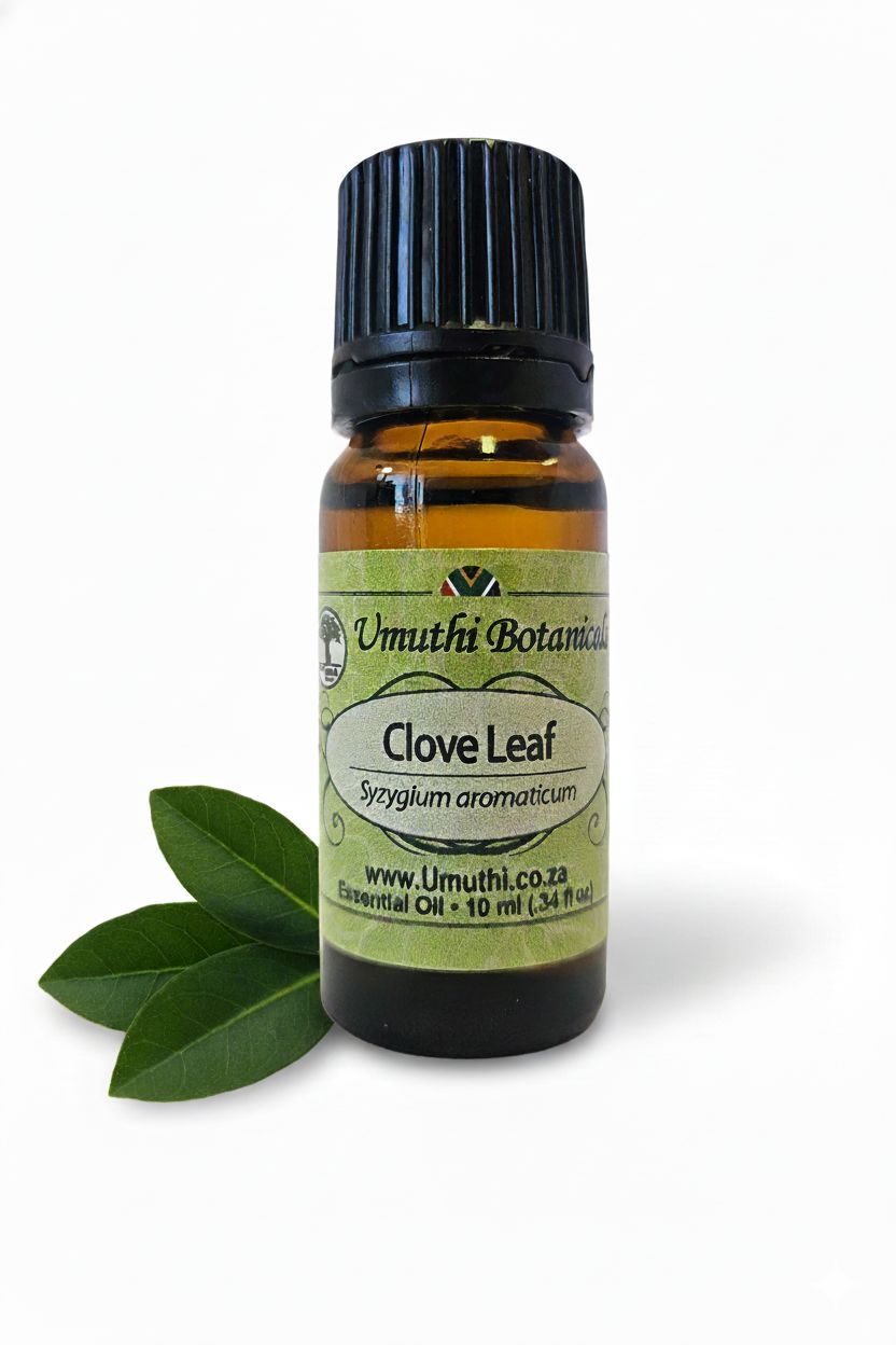 Clove Leaf - Essential Oil