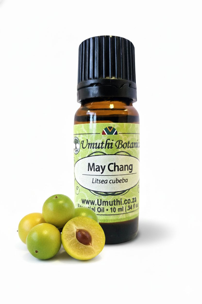 May Chang - Essential Oil