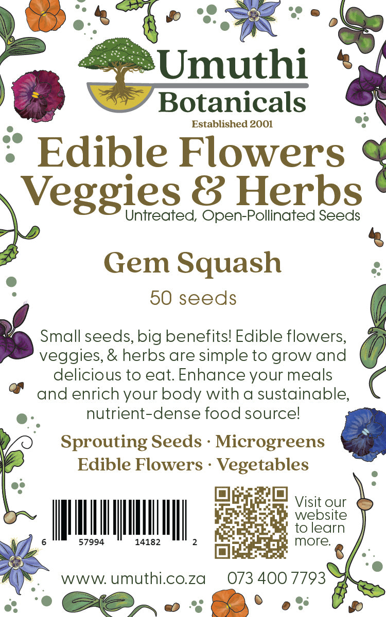 Gem Squash - Rolet - 50 Seeds