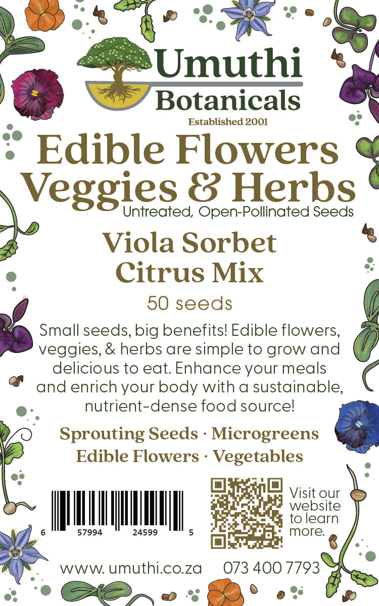 Viola Sorbet Citrus Mix - Edible Flowers - 50 Seeds